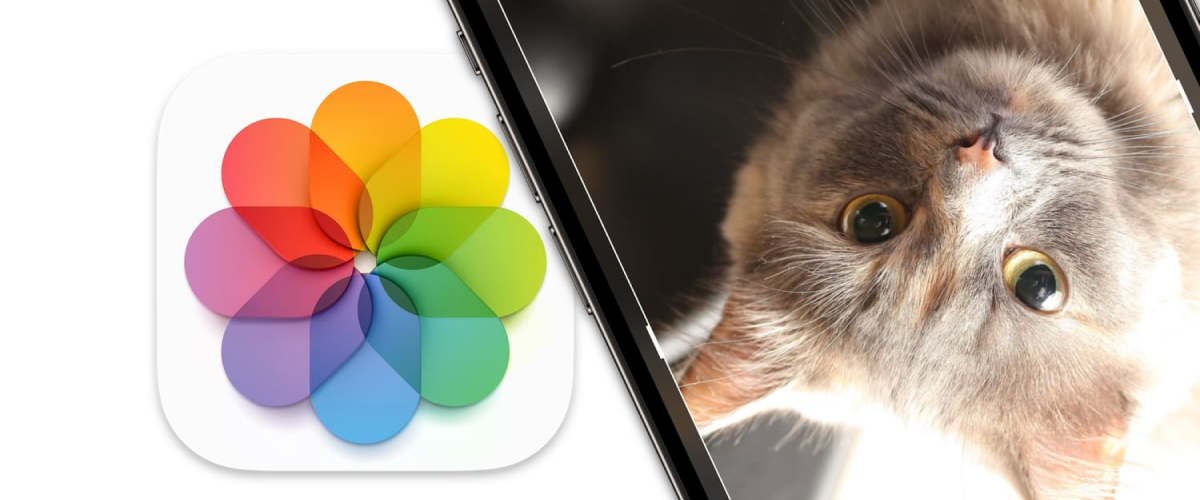 iPhone Foto drehen: Anleitung zur Bild-Bearbeitung